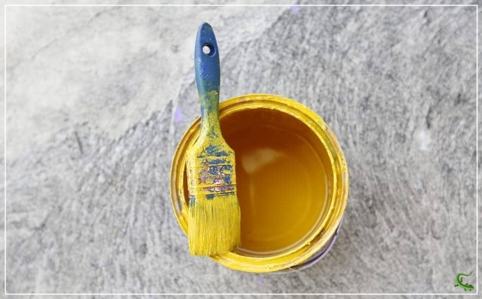 4 Ways On How To Remove Paint From A Turtle s Shell